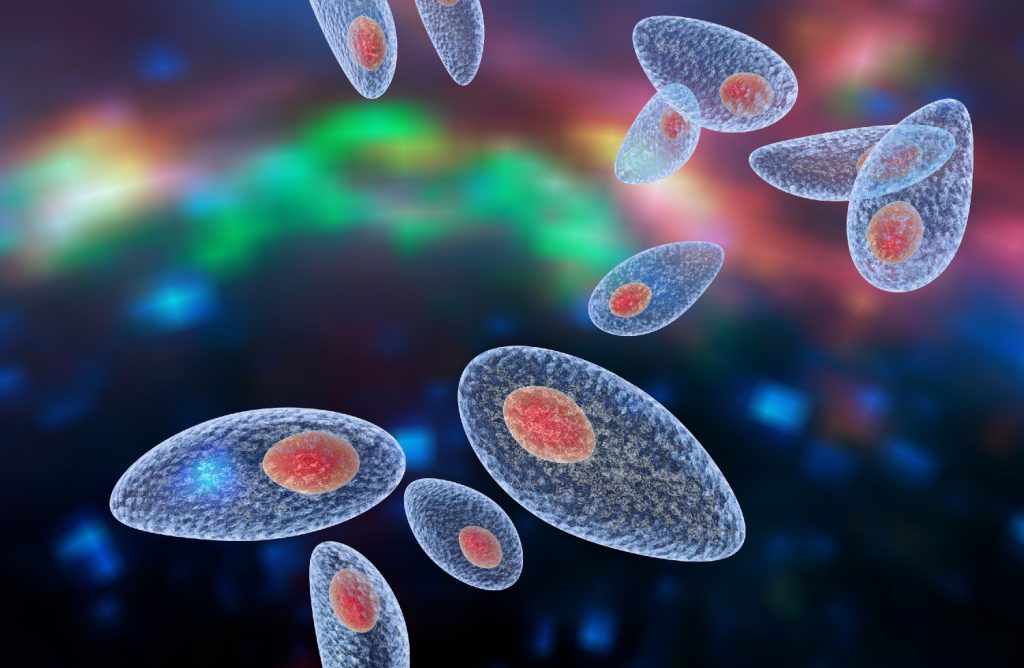 Parasiet – Micro-organismen